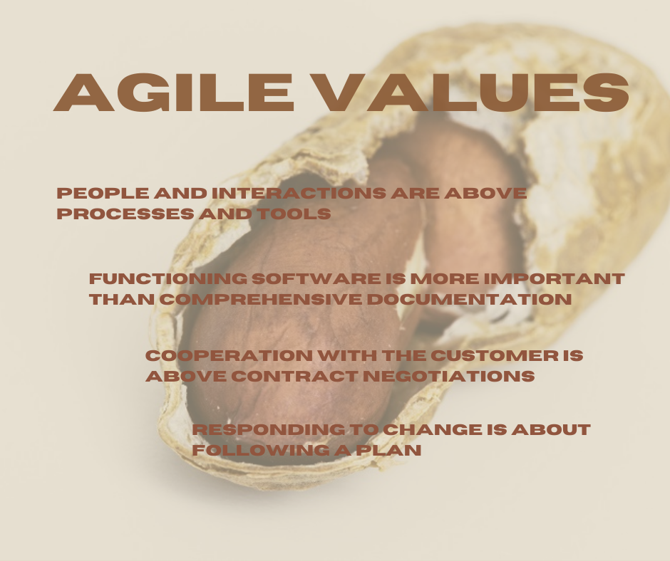 Agility in the Nutshell - Agile Values - Coverdale Austria