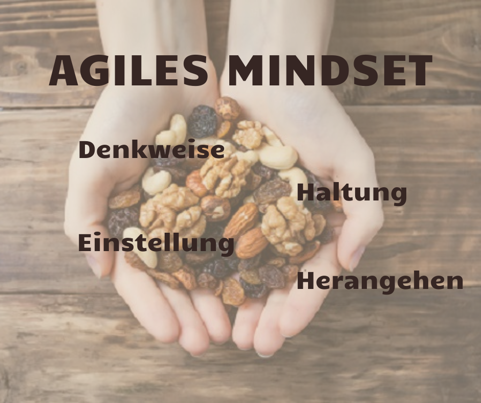 Agility in the Nutshell III – Agiles Mindset - Coverdale Austria